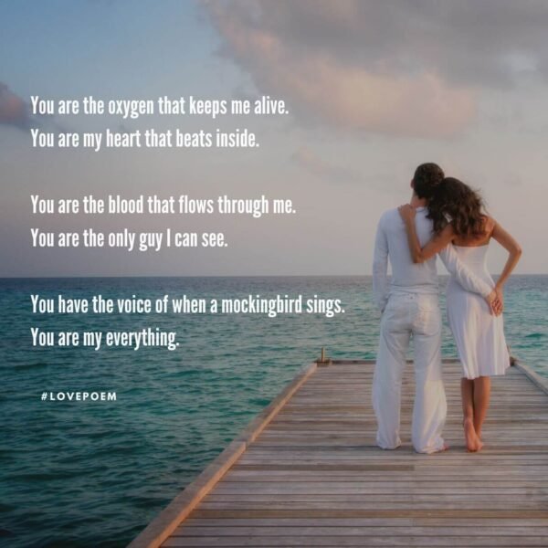 30+ Romantic Love Poems for Him (Boyfriend) - iPhone2Lovely