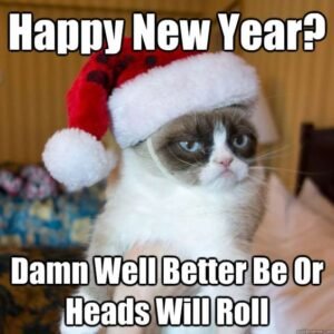 80+ Happy New Year Cat Images, GIFs and Memes (2026) - iPhone2Lovely