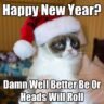 80+ Happy New Year Cat Images, GIFs and Memes (2026) - iPhone2Lovely