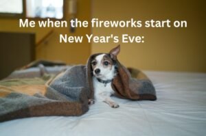 100 Happy New Year 2026 Dog Images Quotes and Memes - iPhone2Lovely