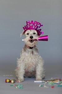 100 Happy New Year 2026 Dog Images Quotes and Memes - iPhone2Lovely