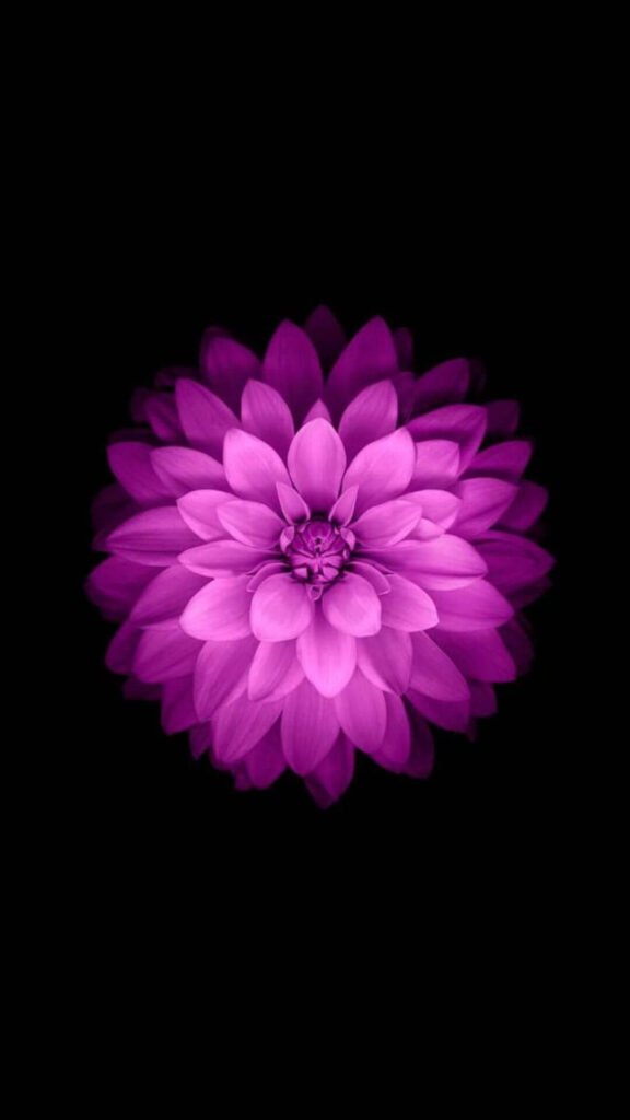 50 Best Original Old iPhone Wallpapers 2024 - iPhone2Lovely